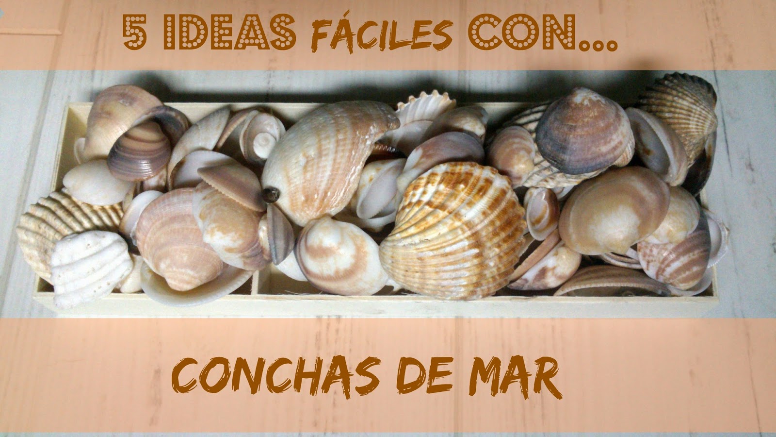 mayninetes crafty life: 5 Ideas ( fáciles ) con ... Conchas de mar.