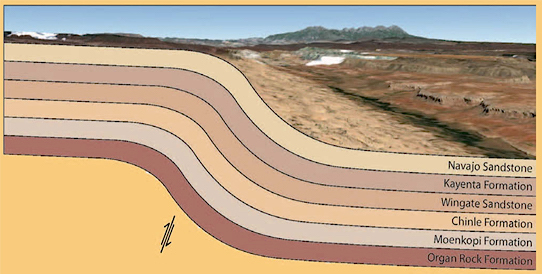 In the Company of Plants and Rocks: The Navajo Rug