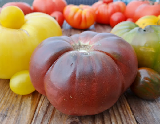 ...a quiet life...: a little more tomato love...