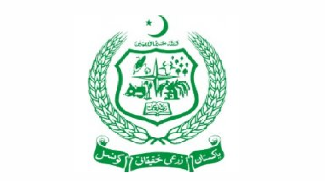 Pakistan Engineering Council Management Jobs In Islamabad 2023