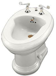 American Heart, Brazilian Soul: Bidets becoming popular in the USA