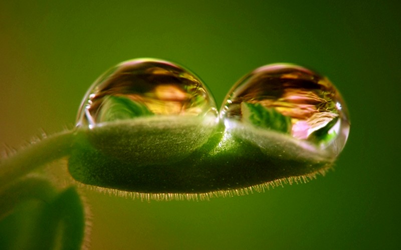 Best WallPapers: Colourful Raindrops Wallpapers