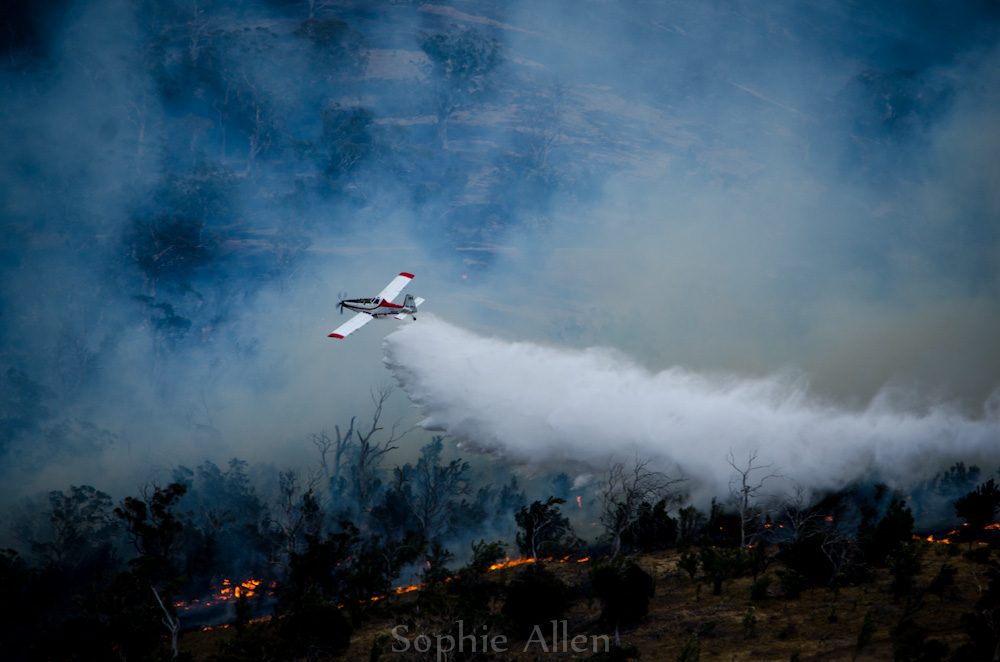 iSophie: The -worst- day ever! (Bushfires)