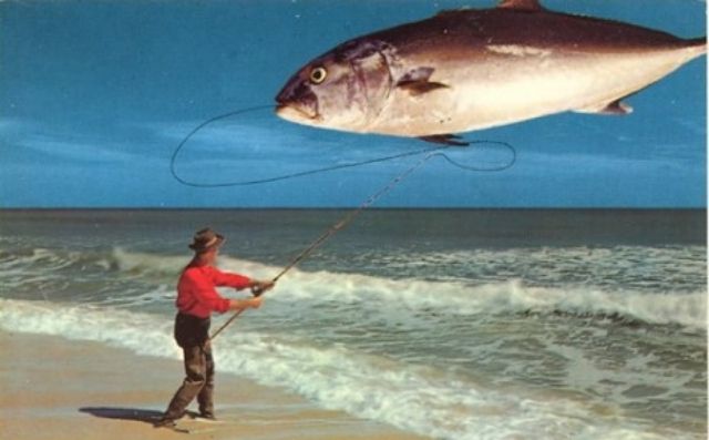 40 Hilariously Bad Vintage Postcards From Between the 1950s and 1970s ...