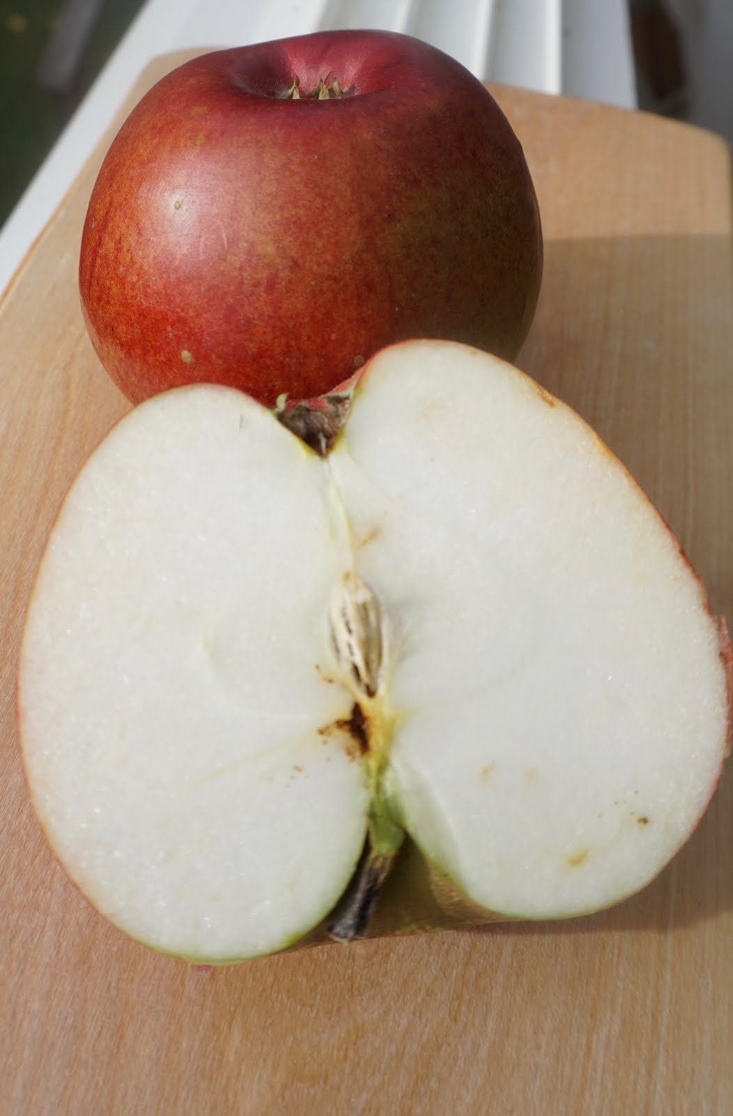 Svenska äpplen: Gissa äpplet - 6