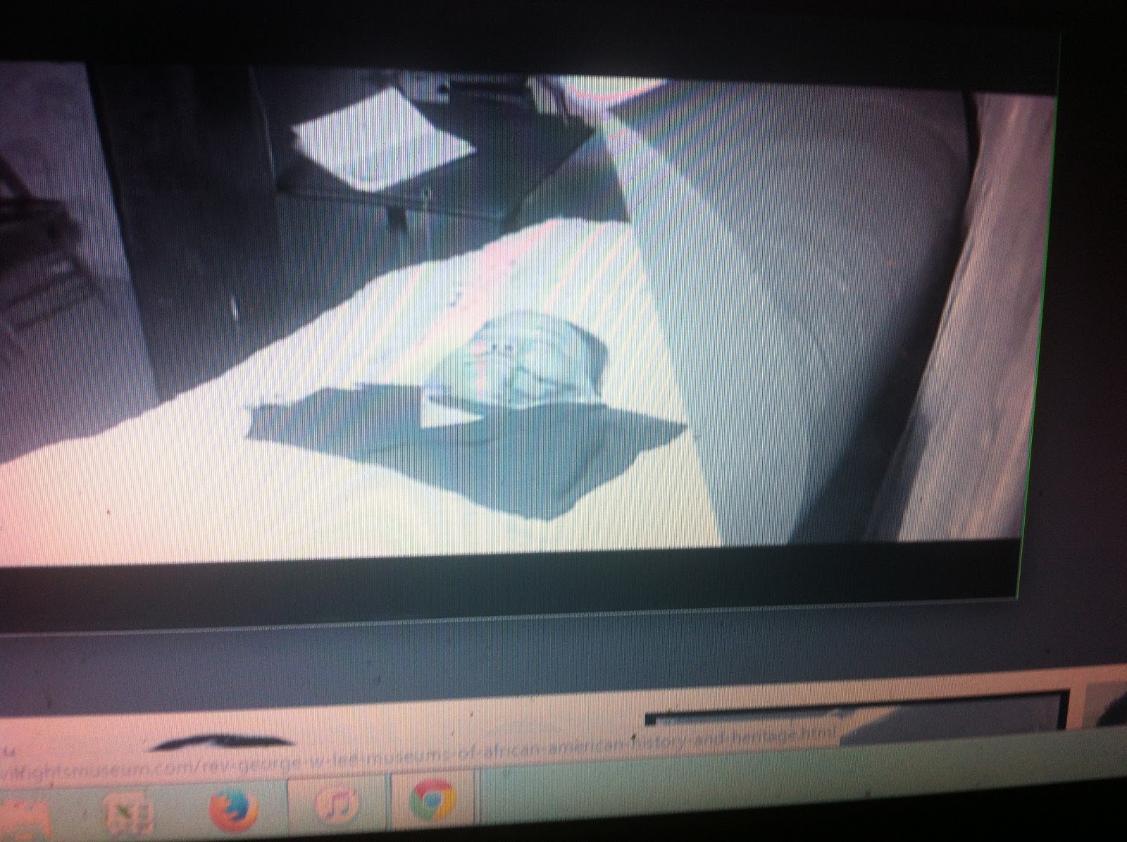 THE BLACK SOCIAL HISTORY:: BLACK SOCIAL HISTORY : AFRICAN AMERICAN ...