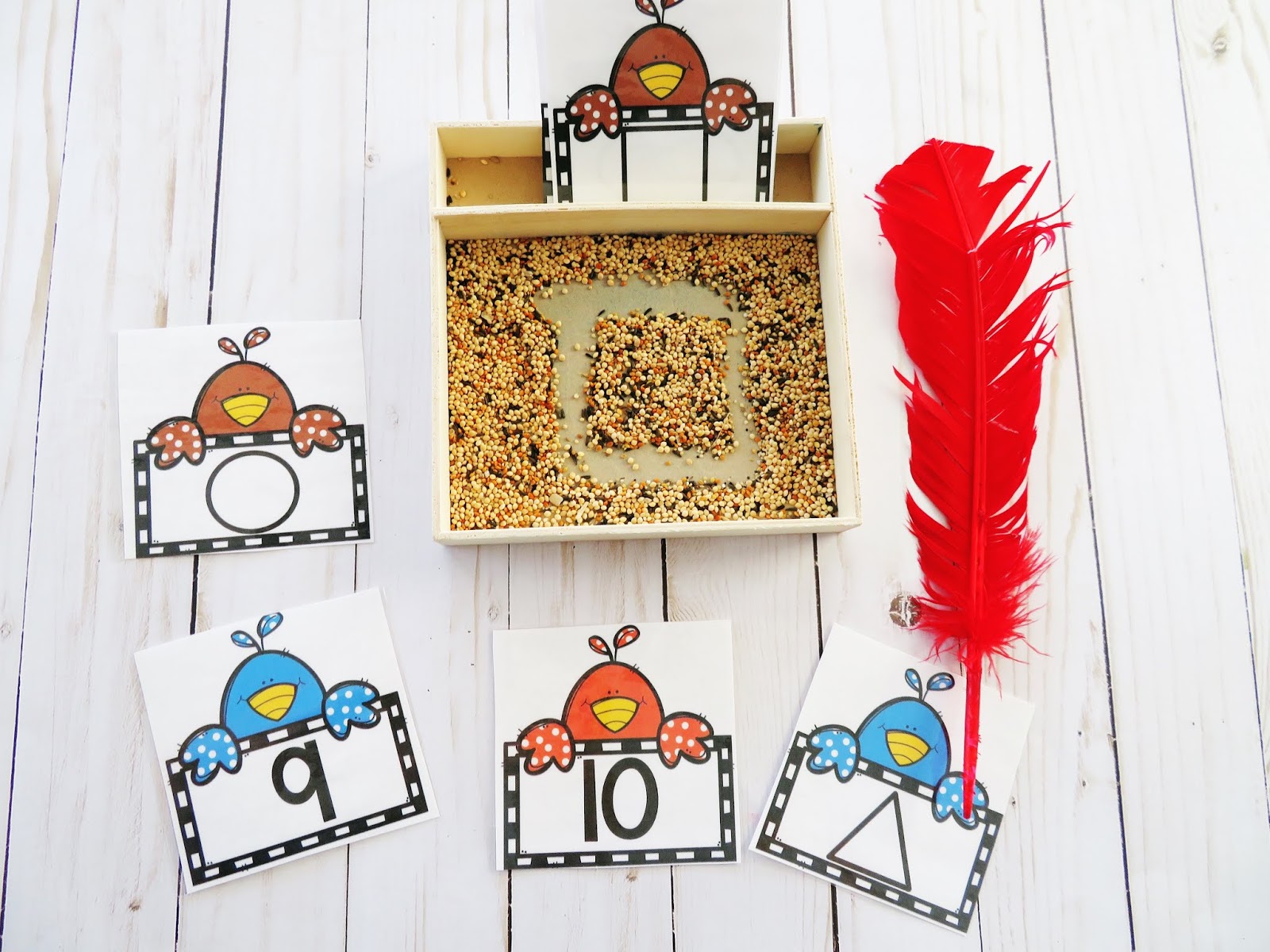 Birds Preschool Theme