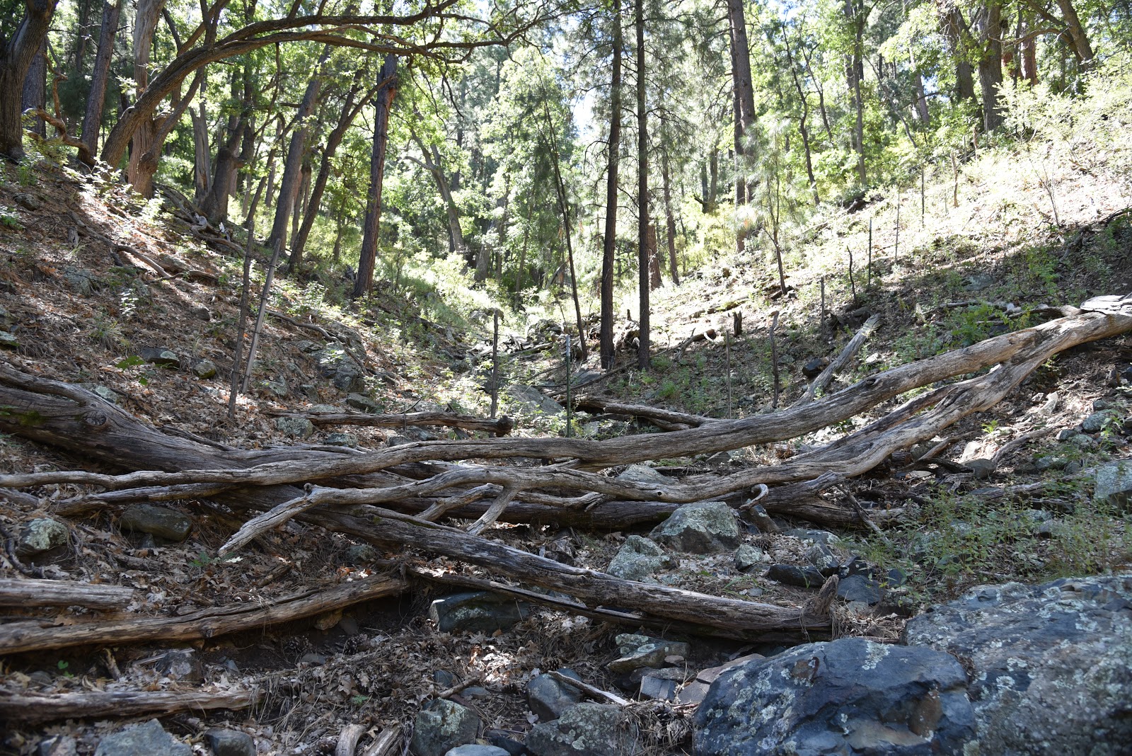 Arizona Hiking: SMITH RAVINE