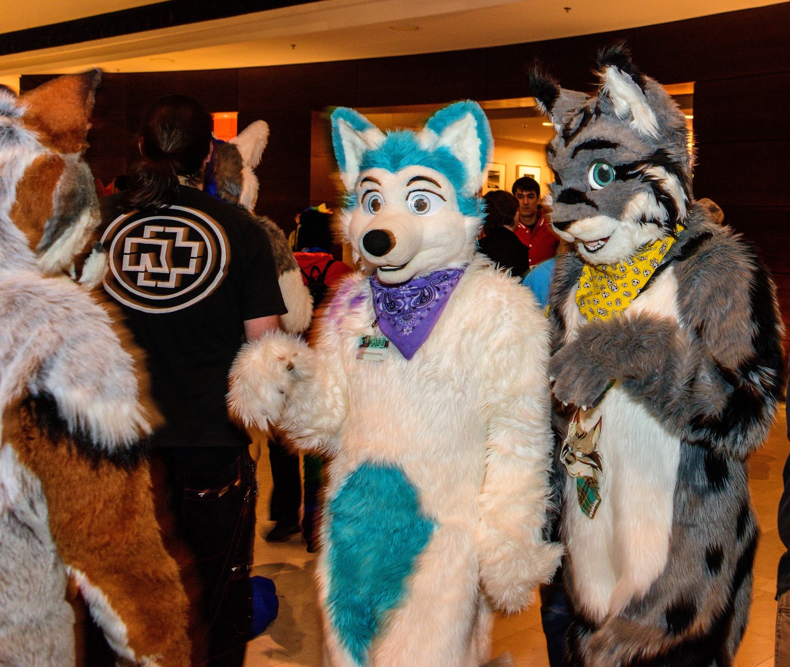 Shot of the Day: Furry Things