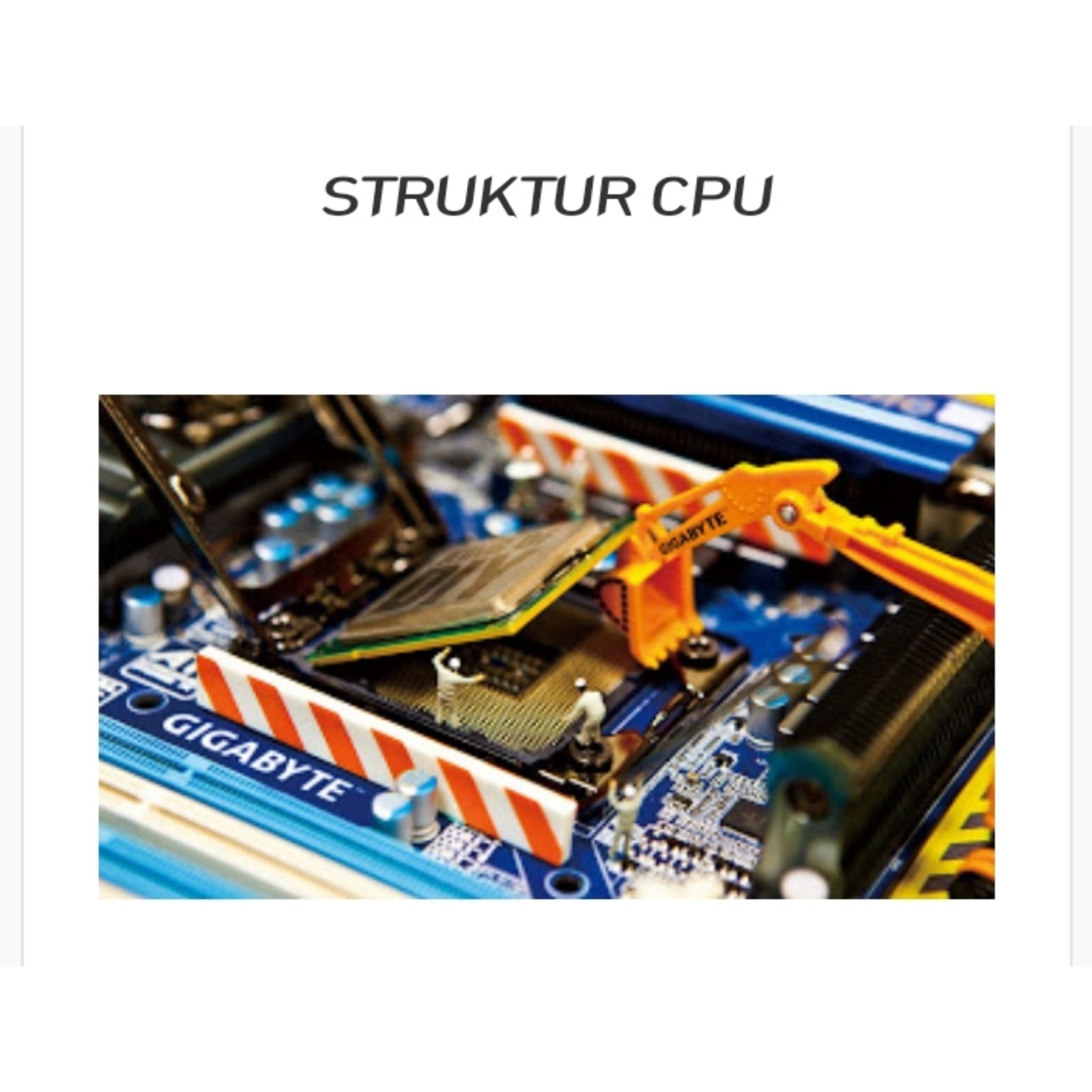 Menganalisis struktur cpu dan fungsi cpu