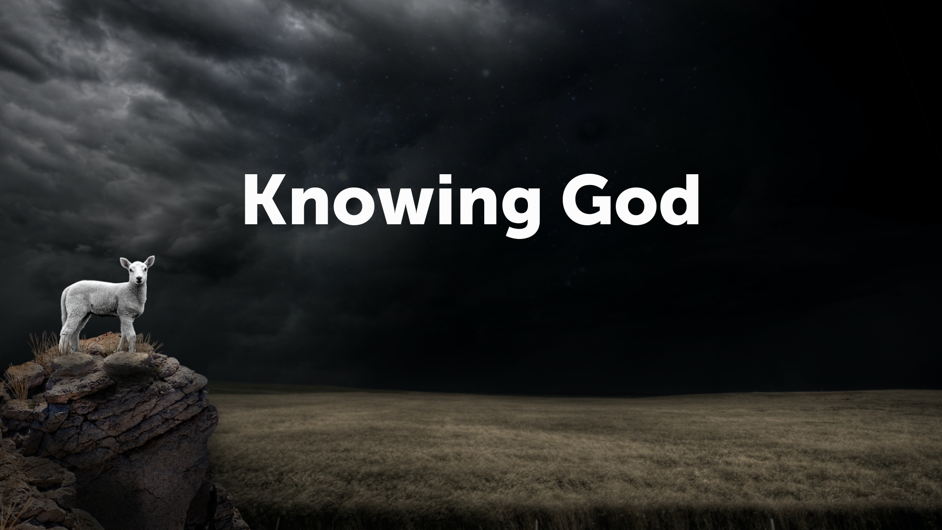 Verse of the Day: August 2021