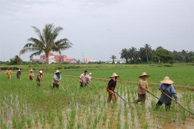 Cerita Wamad dan Idea: Januari 2008