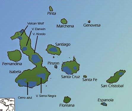 M. Raeder - Photography: Galapagos Tortoises