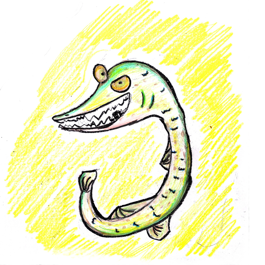 Animal Electric : Animal For March 29, 2013