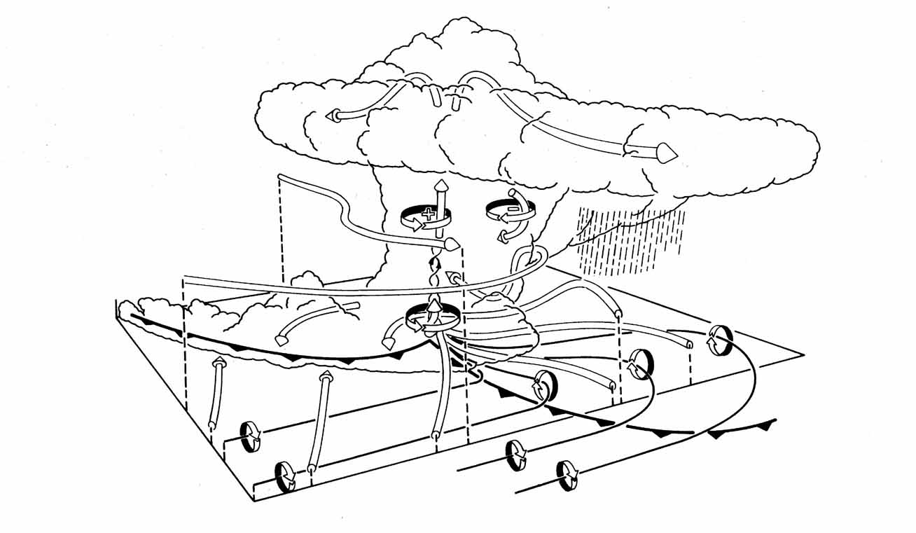 McCabism: Tornados and the Y250 wing-tip vortex