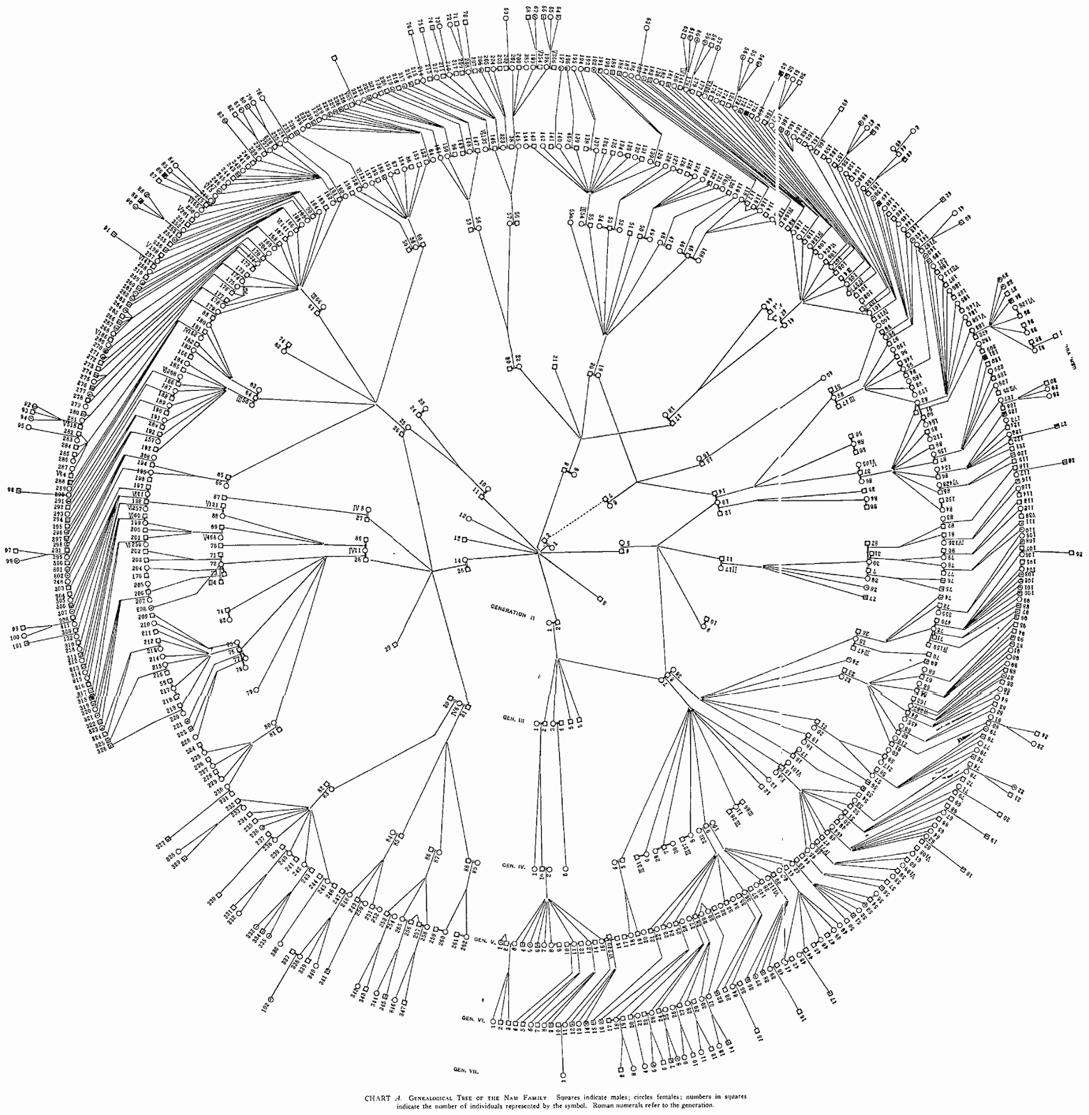 The Genealogical World of Phylogenetic Networks: Circular phylograms ...