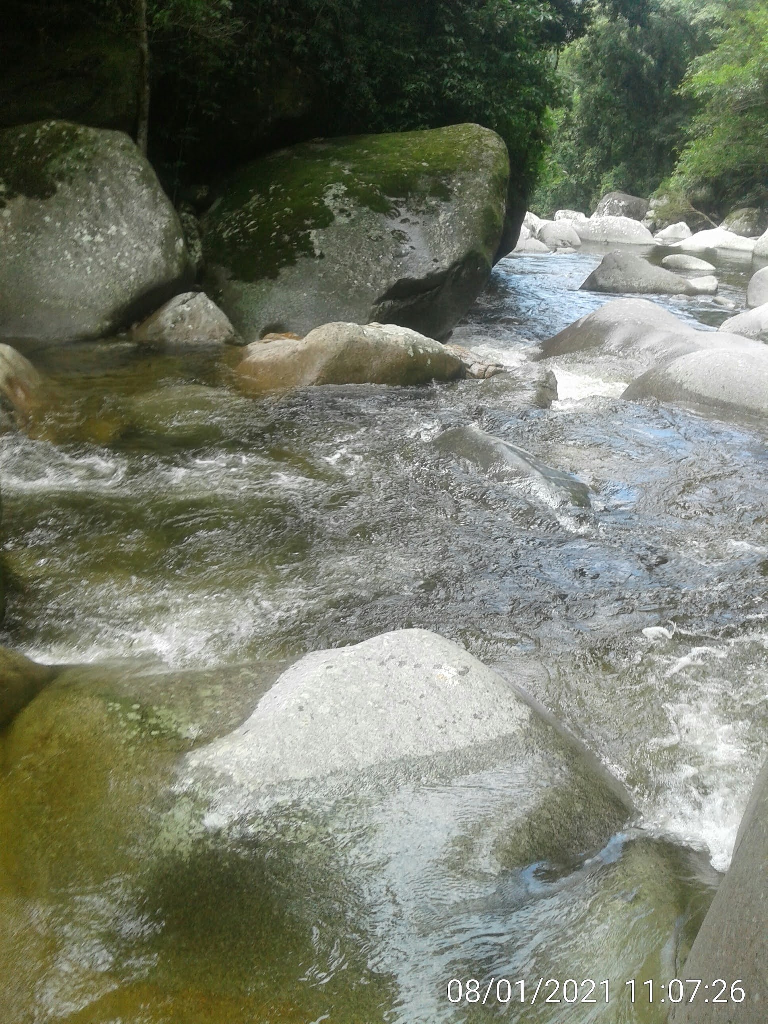 Carioca que ama o Brasil e estado do Rio de Janeiro. Valorizando sua ...