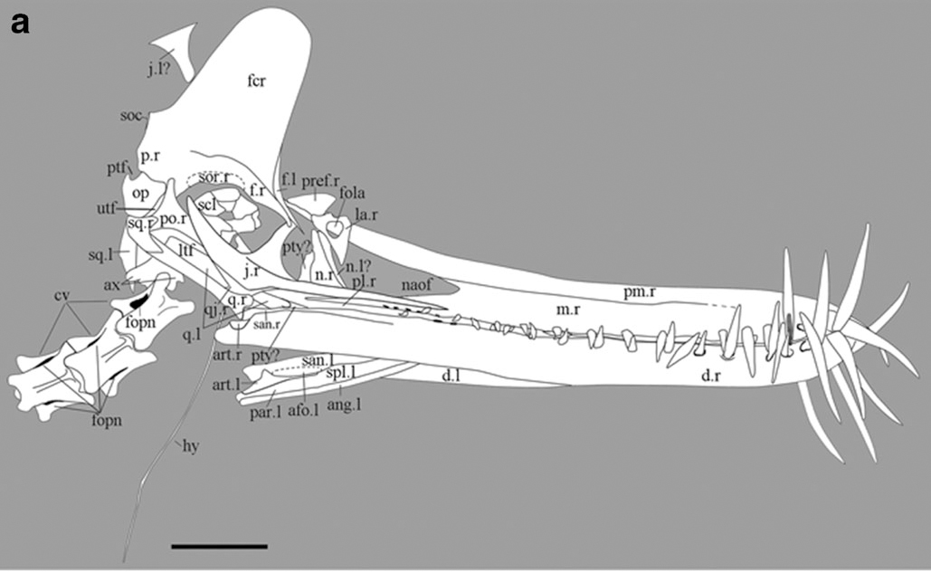 Sciency Thoughts: October 2012