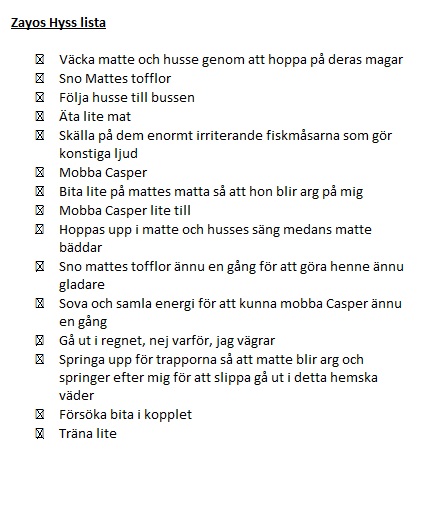 Hundar i Livet: Zayo och Caspers dag i punktform