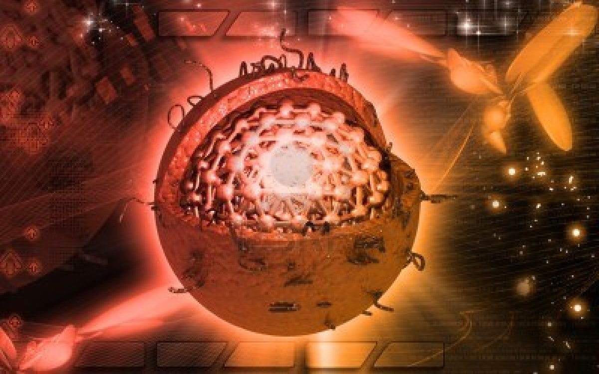 What You must Know About Hepatitis - Universal Science Compendium