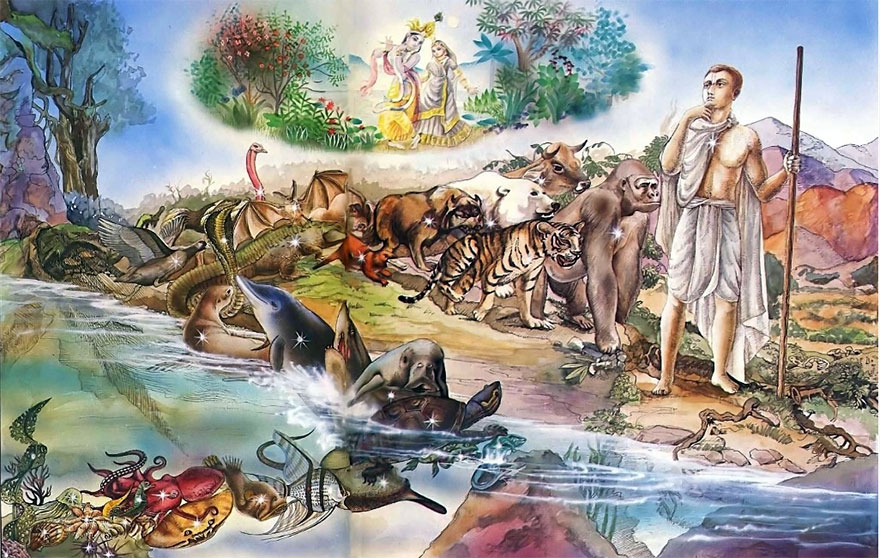 Difference Between Soul and Supersoul