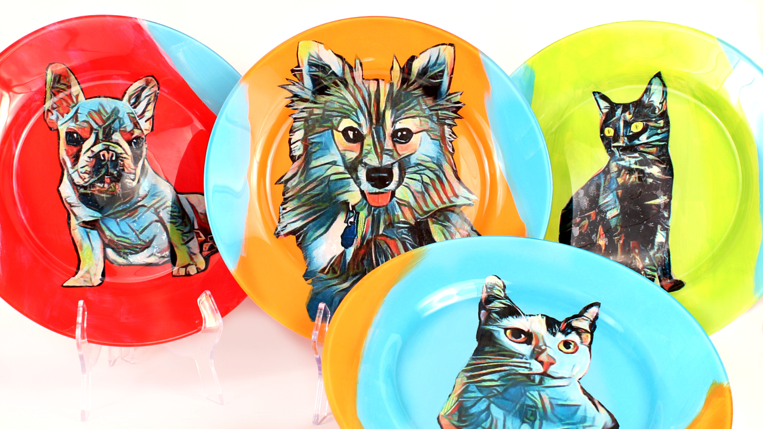 Mark Montano: Pet Portrait Dishes DIY