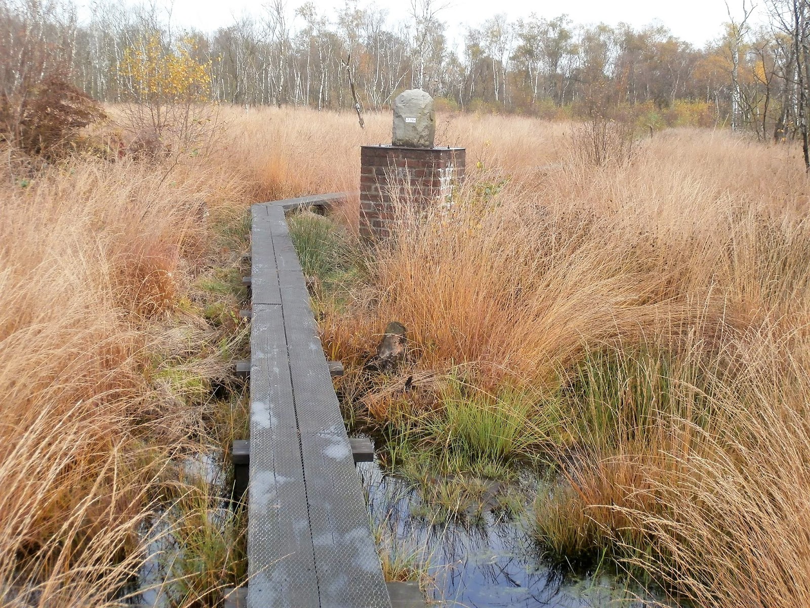 Mooiste Routes: Wandelen bij Winterswijk Woold (Gelderland)