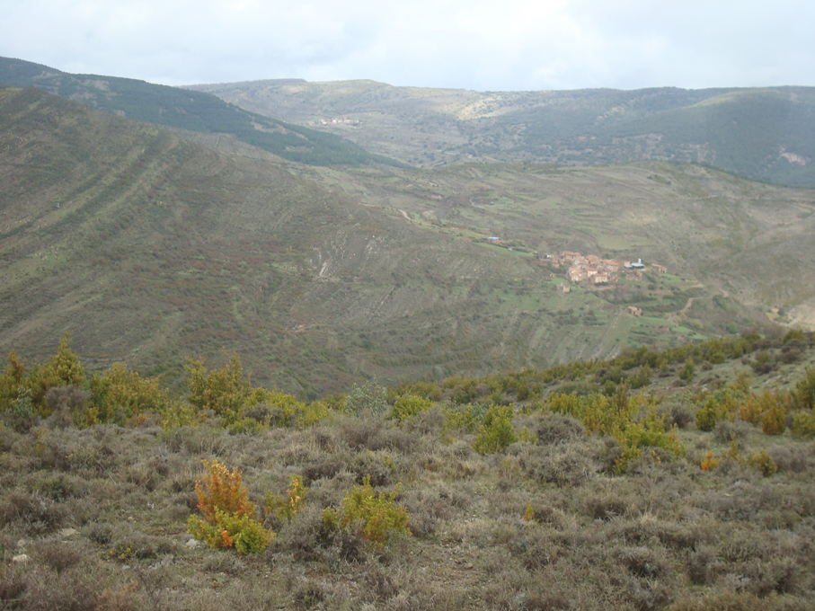 MONTES: 95. CERRO DEL COLLADO O SANTA CRUZ, 1.189 m. (10k 300+)