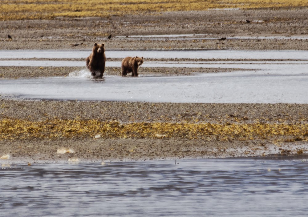 OnTheMove-Cruise News: Kadashan, Tenakee Inlet to Pavlof Harbor