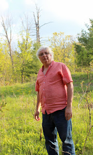 Today's Book of Poetry: A Sparrow Came Down Resplendent - Stuart Ross ...