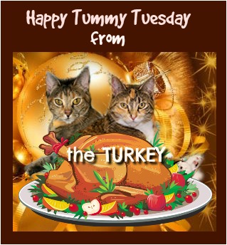 Peaches and Paprika: Happy Tummy Tuesday from...The Turkey!