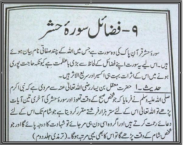 Islamic Hadith: 2013