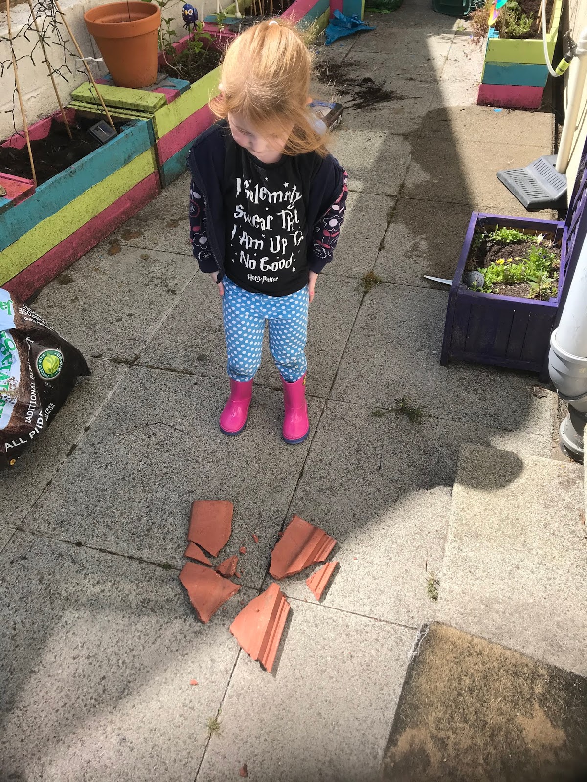 Confused Welsh Mammy