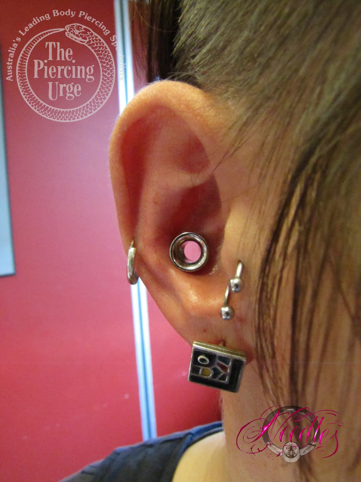 NINE BODY PIERCING BLOG: Fresh 2g Punch with 2g Eyelet