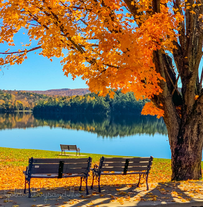 Fall in the Adirondacks 2019 | Golden Boys & Me