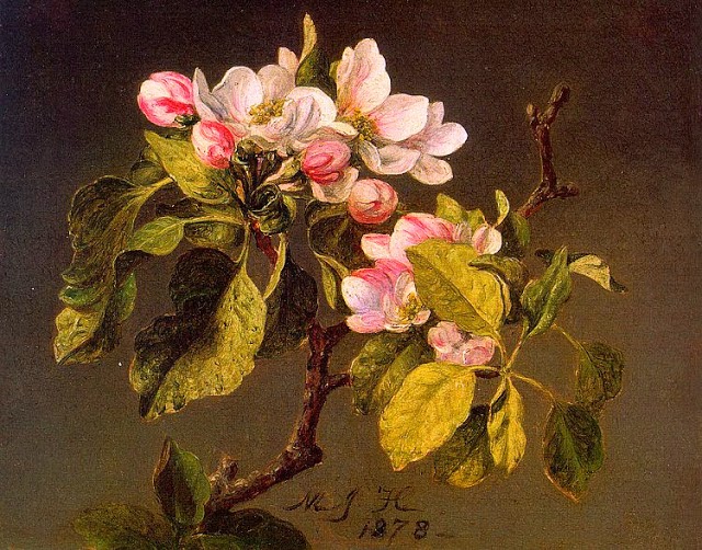 Martin Johnson Heade | Prolific Painter | 1819-1904