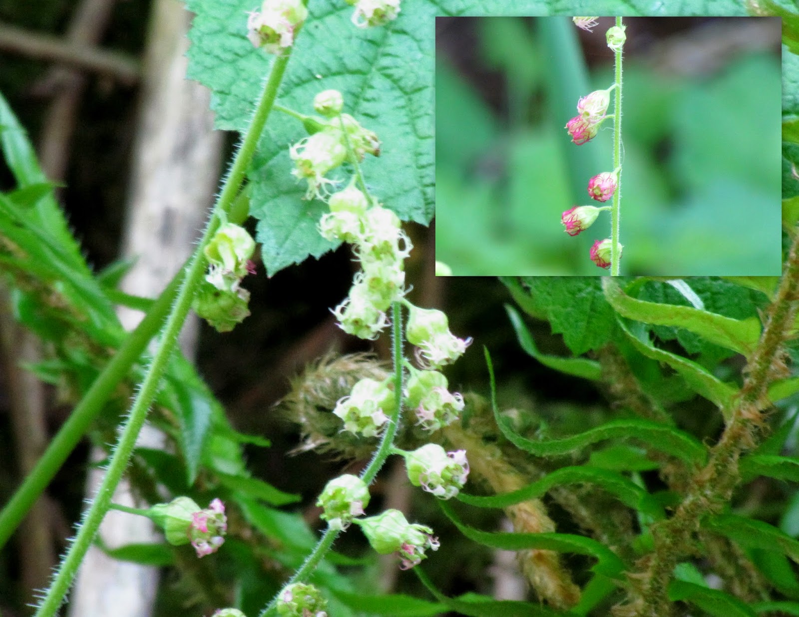 Scene Through My Eyes: May 2014