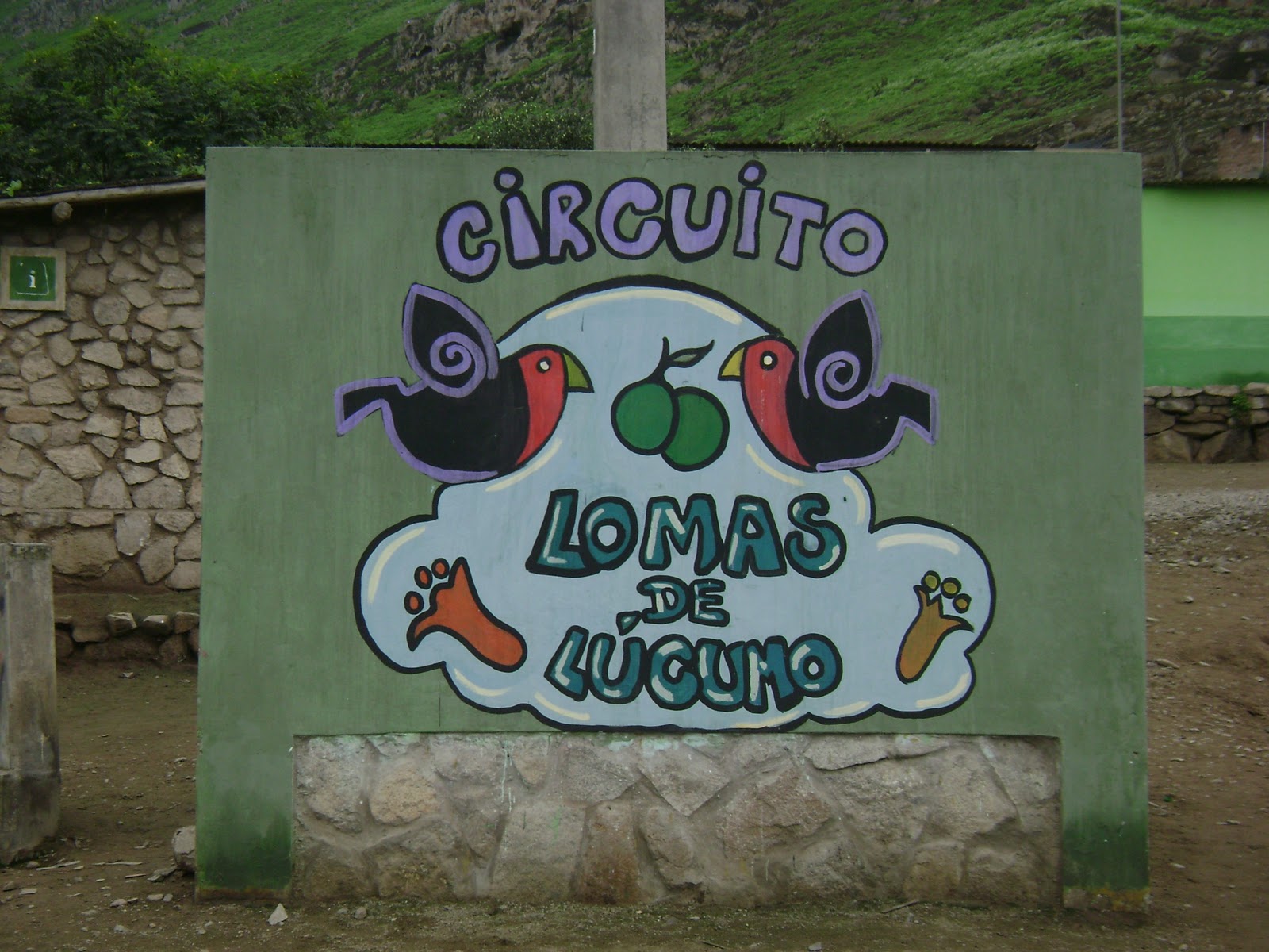 visita a lomas de lucumo