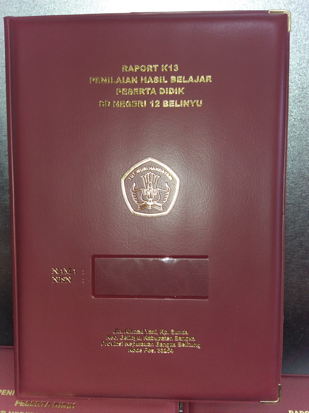 MAP RAPOR K13 - SD NEGERI 12 BELINYU - KIREINA MEDIA