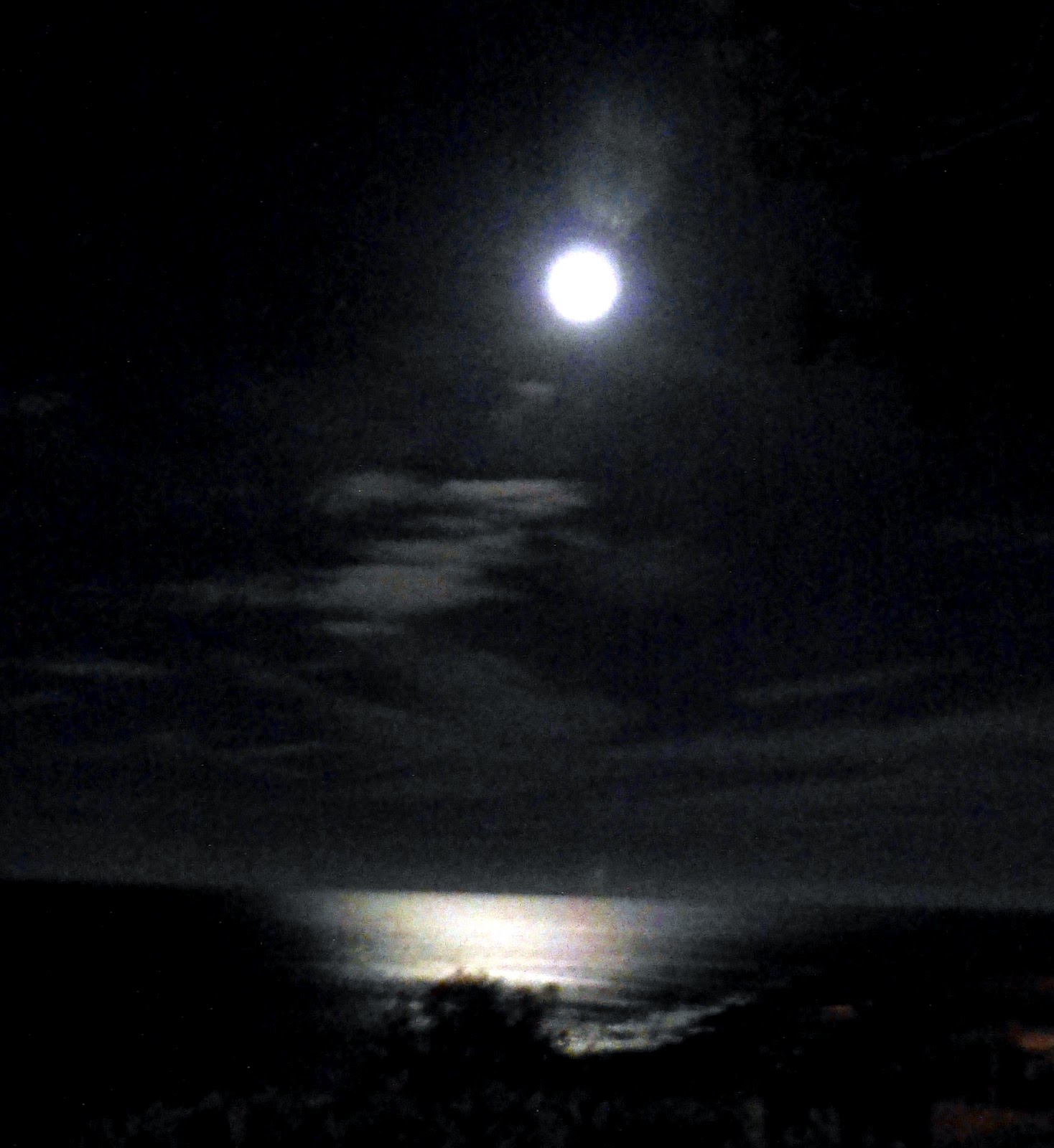 Cor em Movimento: felizmente há luar....