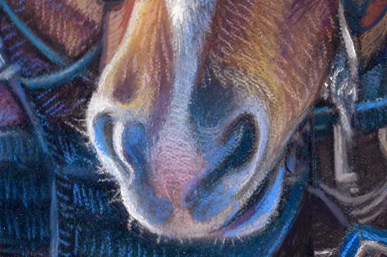 Emily Christoff's Daily Paints: "Patience" Animal, pastel, 16 x 20