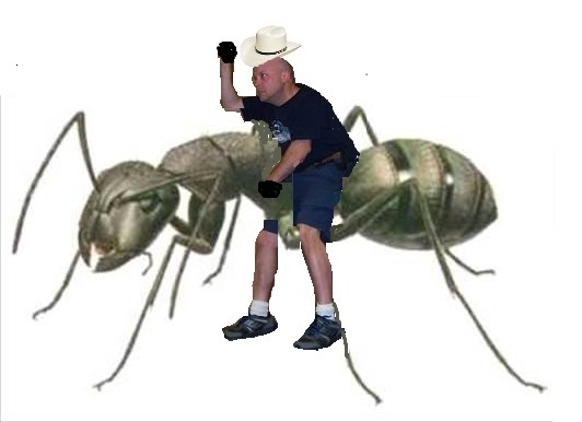 I am CuTRis: CuTRis Now Seen Riding Giant Ant