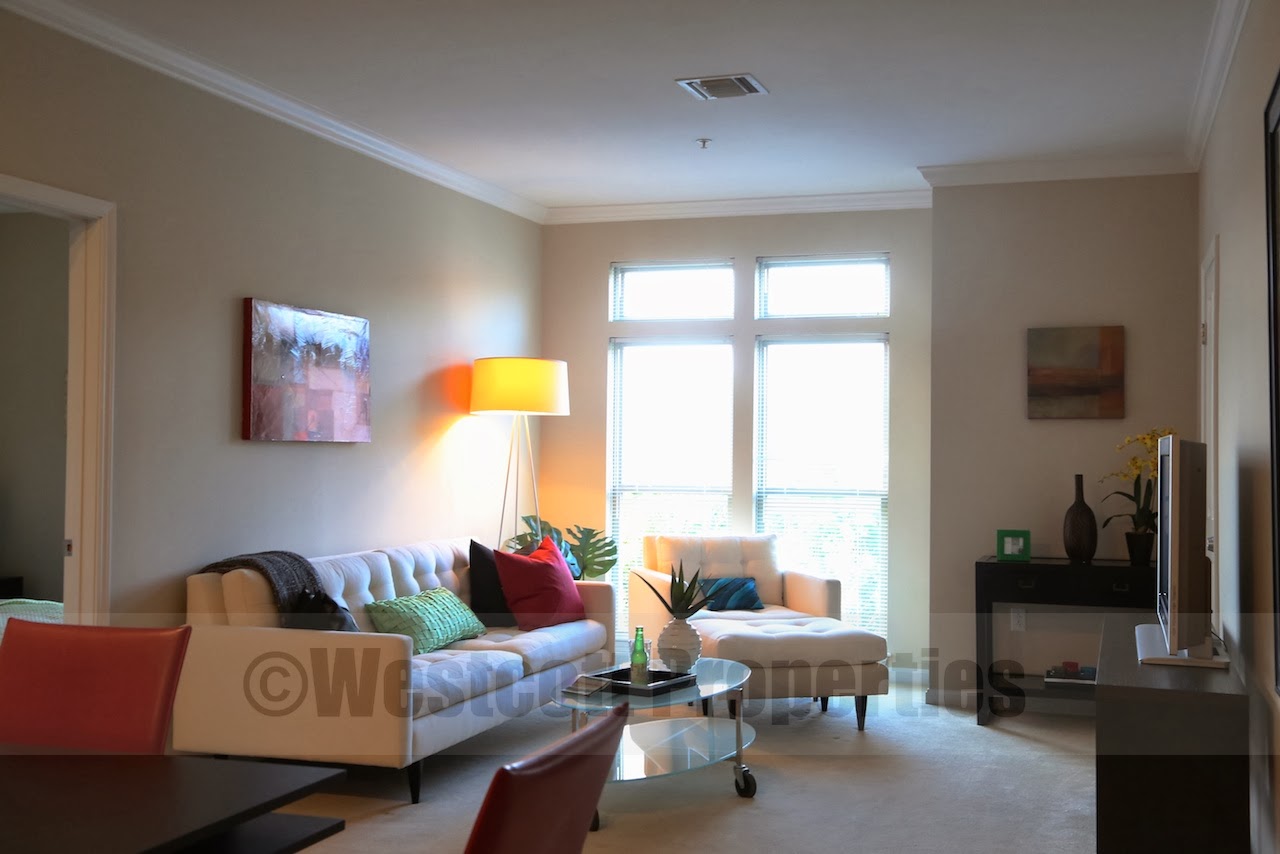 The 903 Providence Place Apartments: The Picture Perfect 903 Providence ...