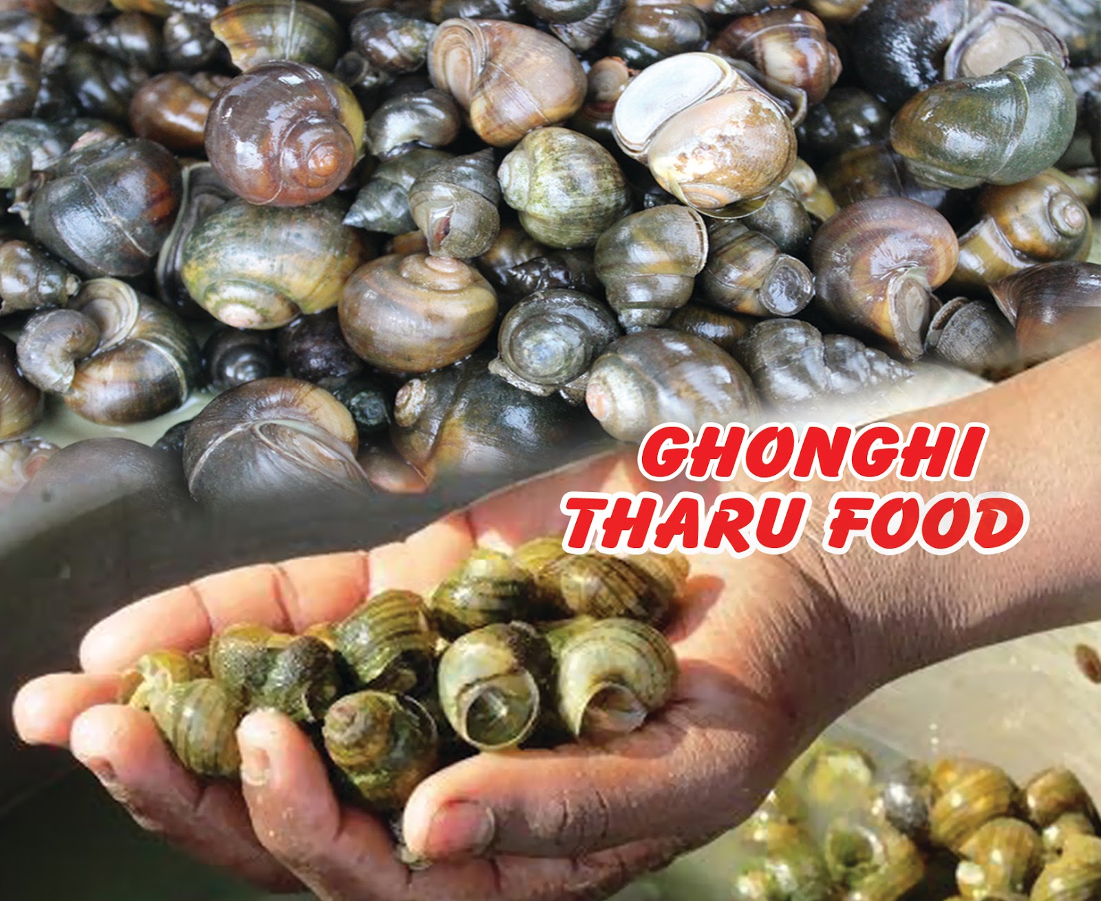 Ghonghi ~ SK THARU GALLERY