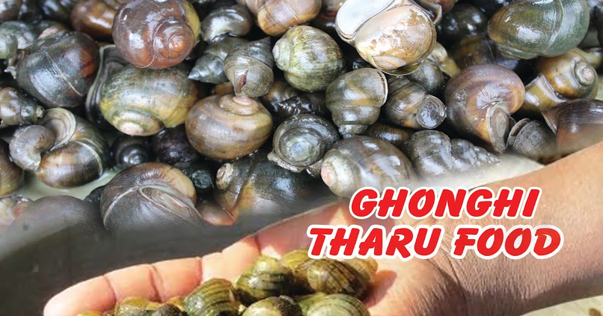 Ghonghi ~ SK THARU GALLERY