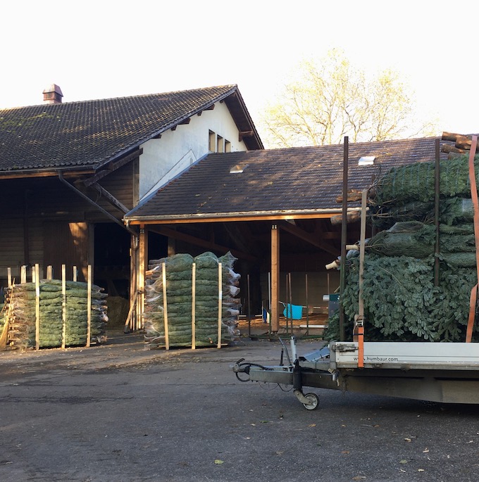 janvier 2020 | Mary & Patch