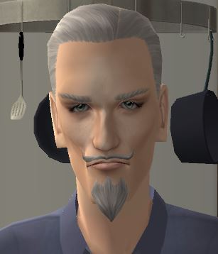 Wishful Thinking In TS2: Veronaville Round 6 - Regan and Cornwall Capp