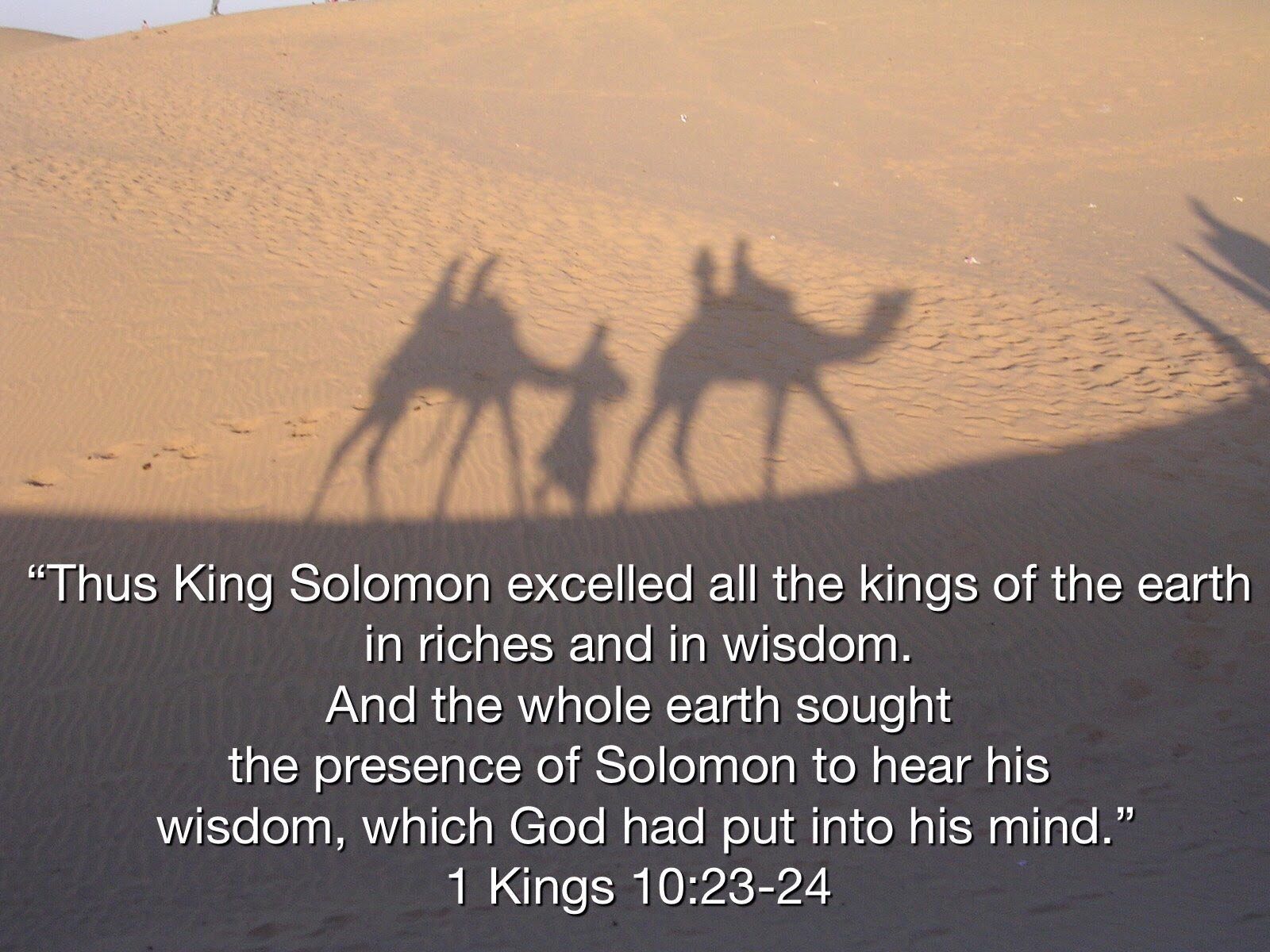 Solomon’s Wisdom and Folly (1 Kings 9-11) - Women in the Word