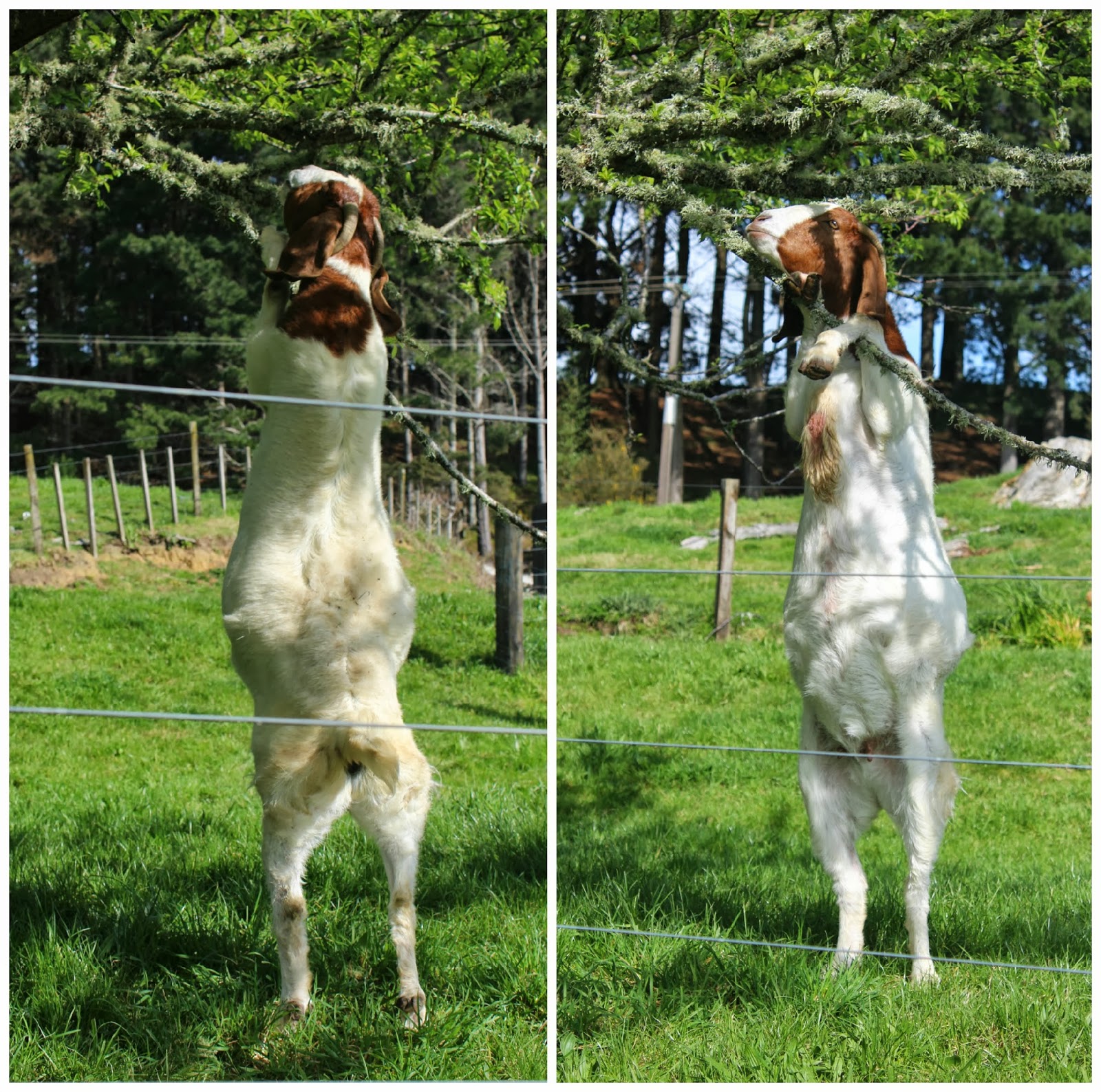 Living a Life at the Beach: Monday Meanderings - 10 things that made me ...