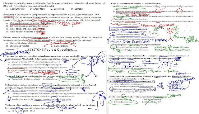 EC Honors Biology: Keystone Exam Practice Questions Summary